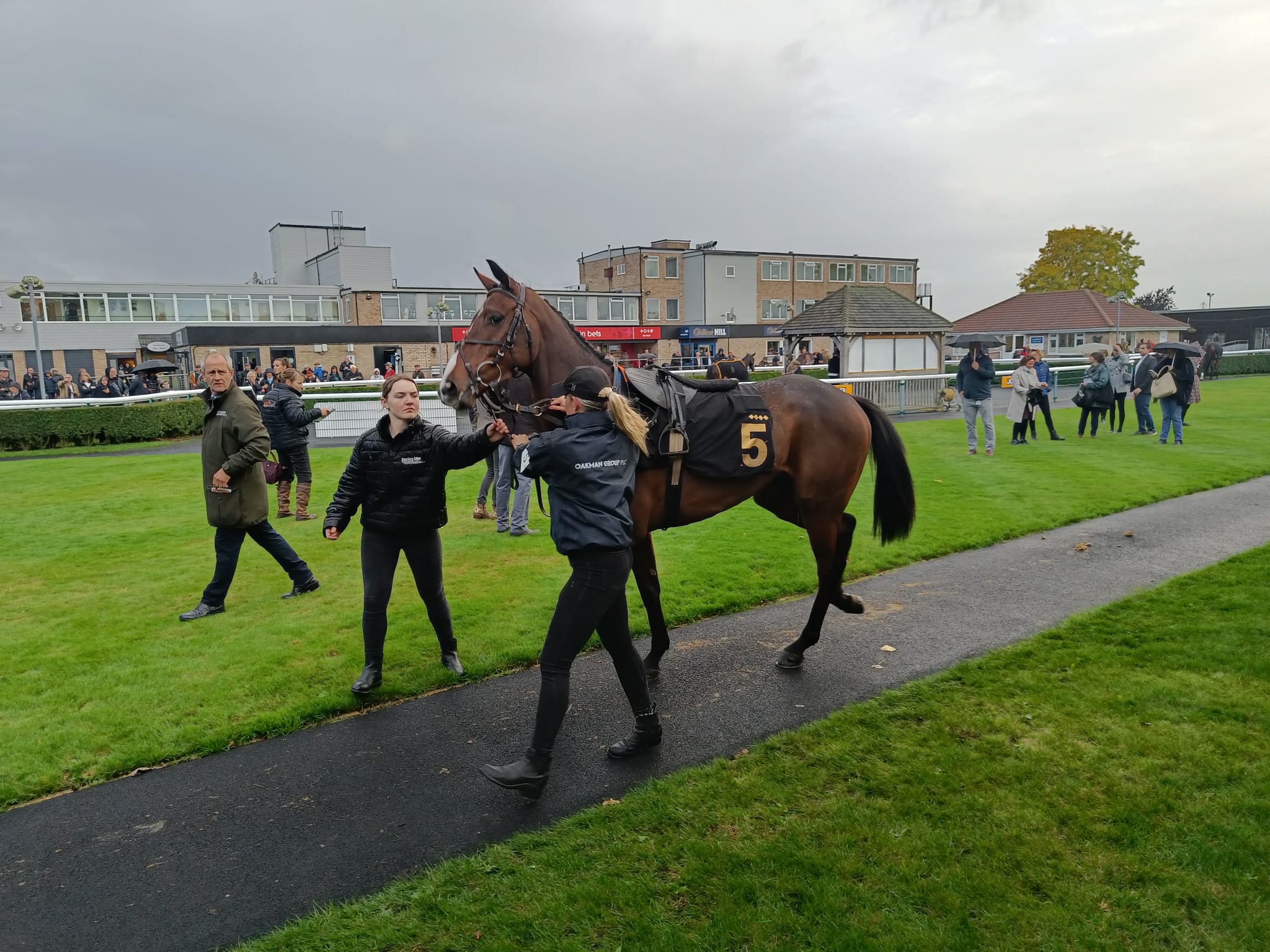 Racing Club Horses » Racing Club » Home