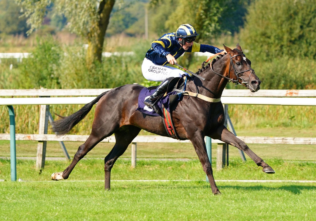 Racing Club Horses » Racing Club » Home