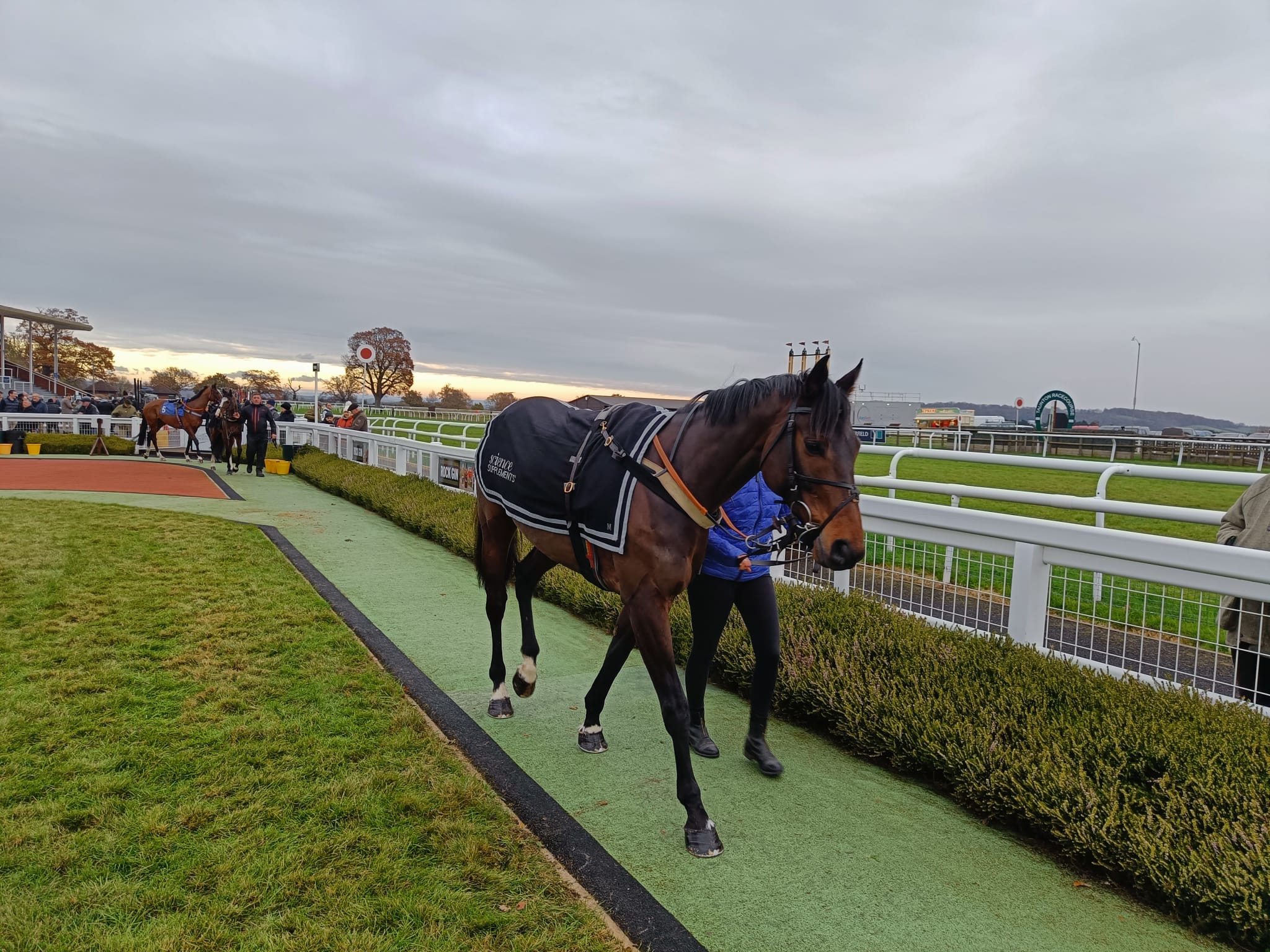 Racing Club Horses » Racing Club » Home