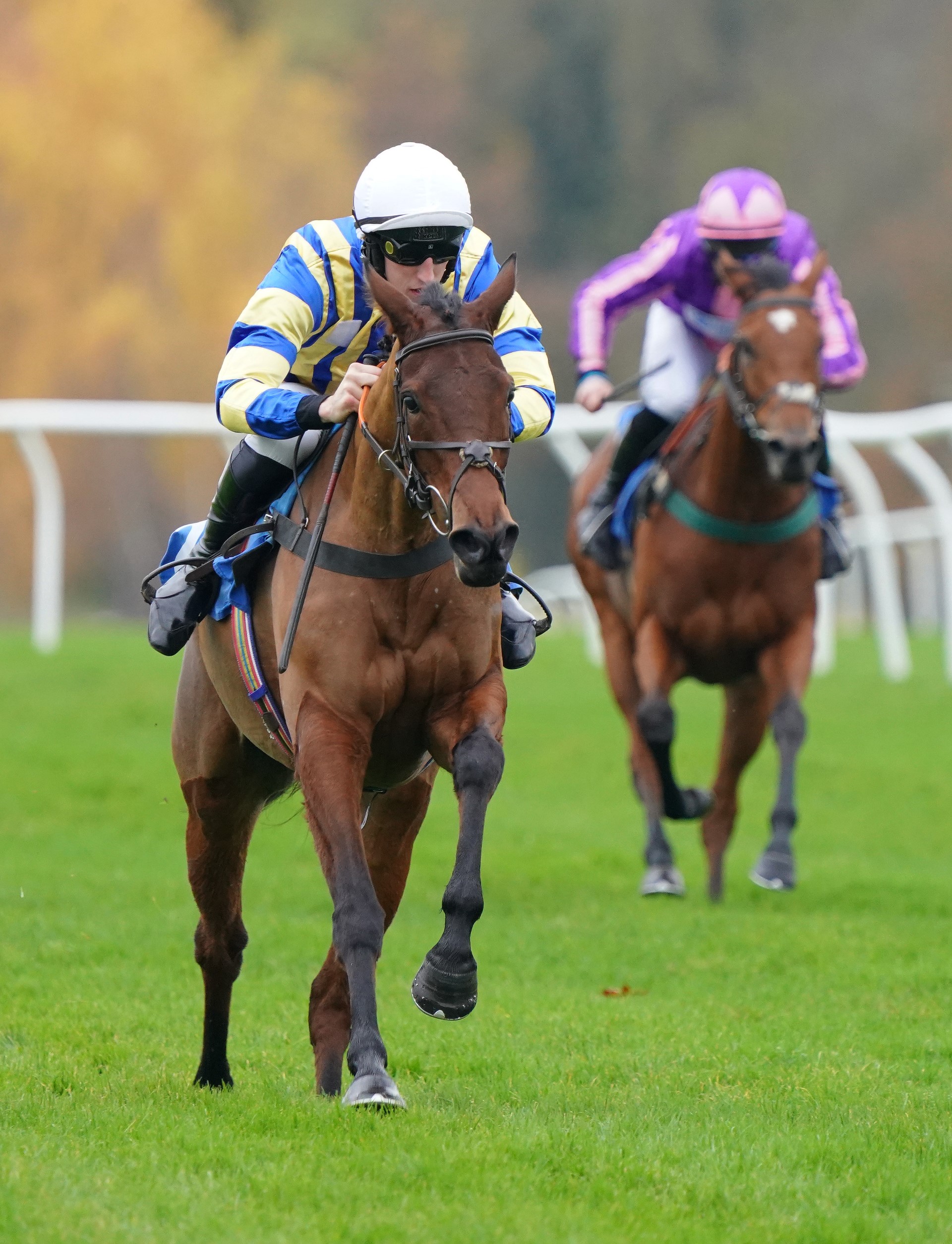 Racing Club Horses » Racing Club » Home